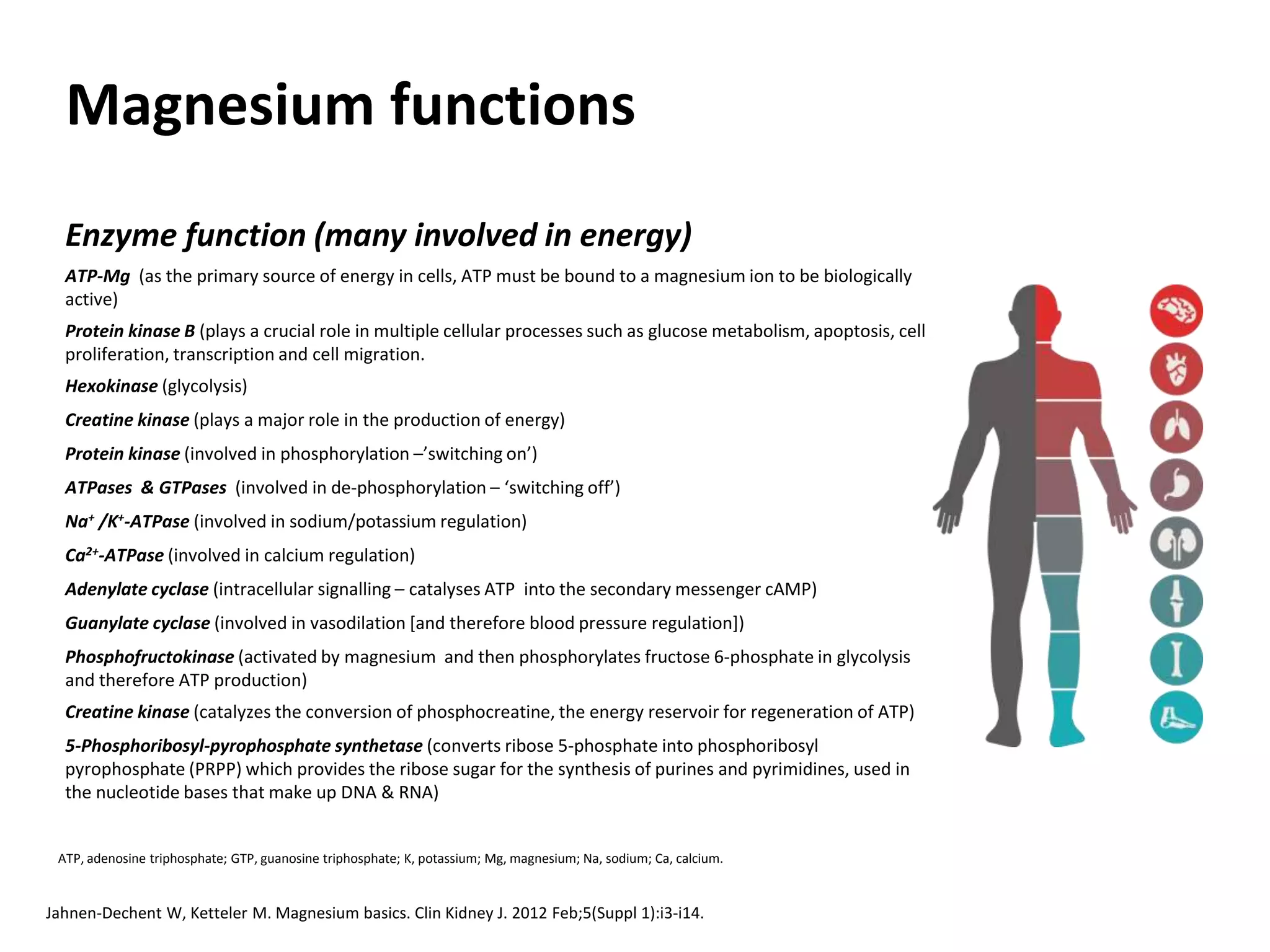 Optimising magnesium use in clinical practice | PPTX