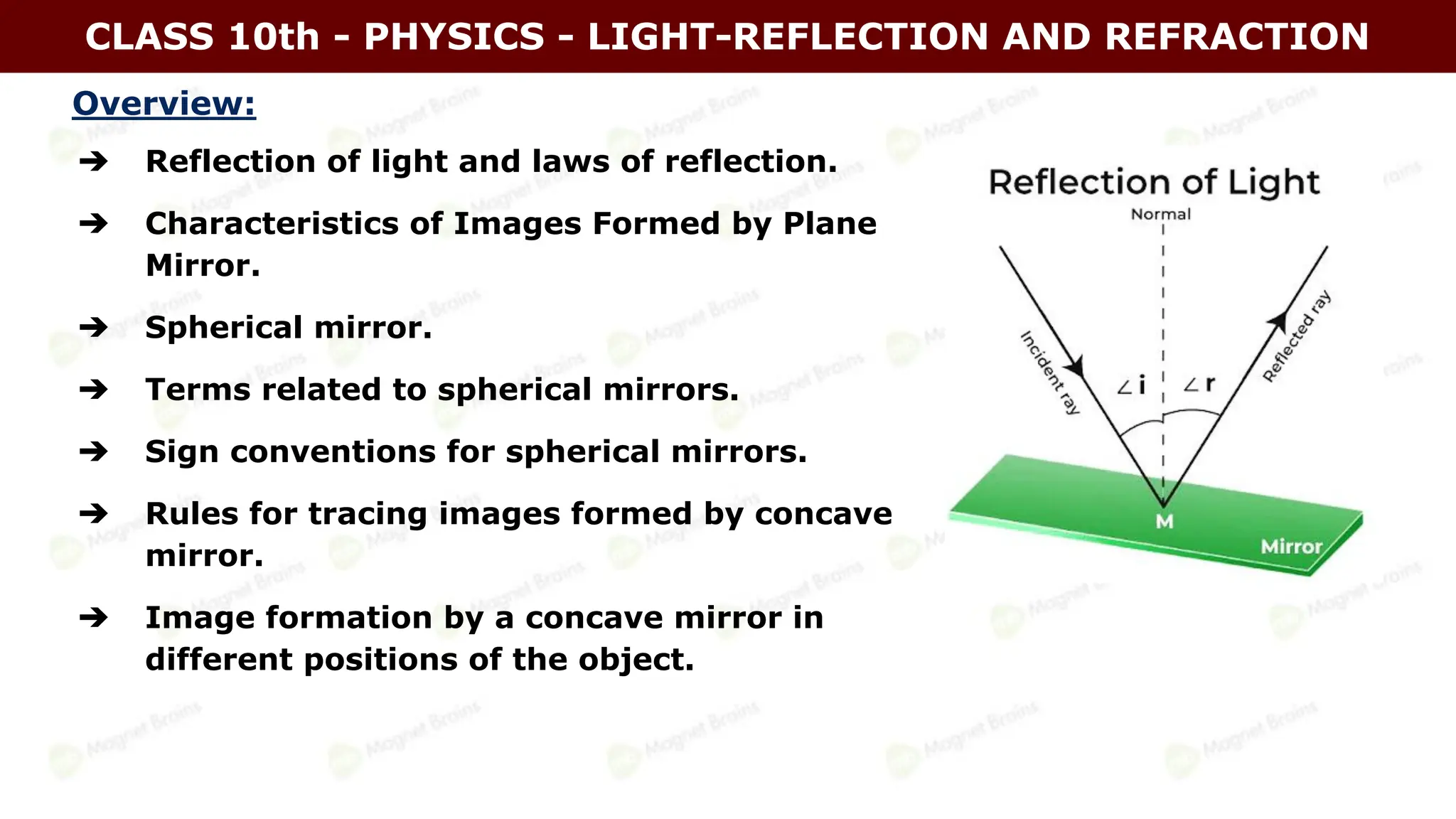 Magnet Brains Notes Sample by pdlegands25 | PDF