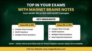 Magnet Brains Notes Sample by pdlegands25 | PDF