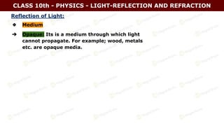 Magnet Brains Notes Sample by pdlegands25 | PDF