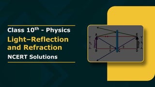 Magnet Brains Notes Sample by pdlegands25 | PDF