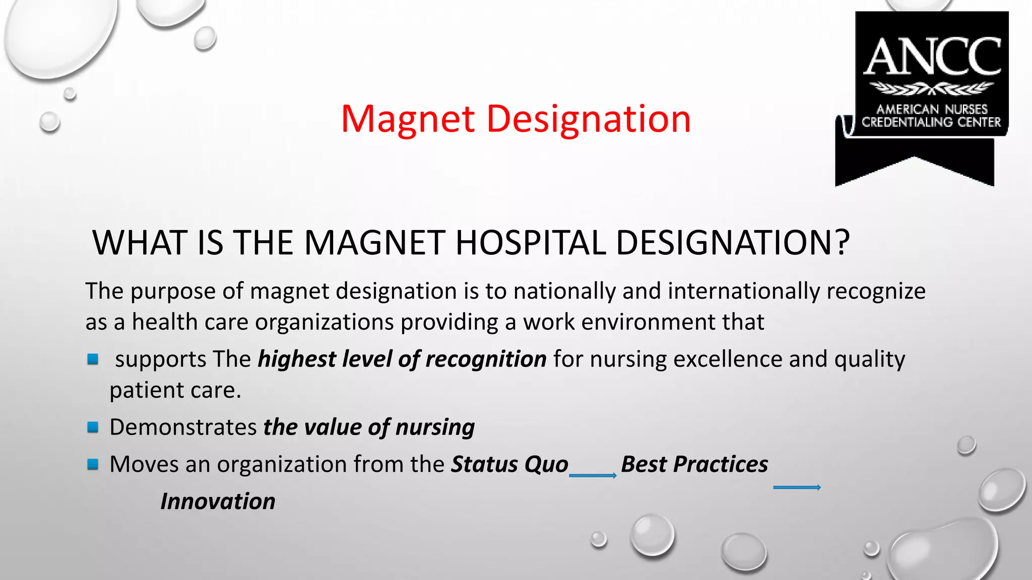 Magnet hospital dr wesam | PDF