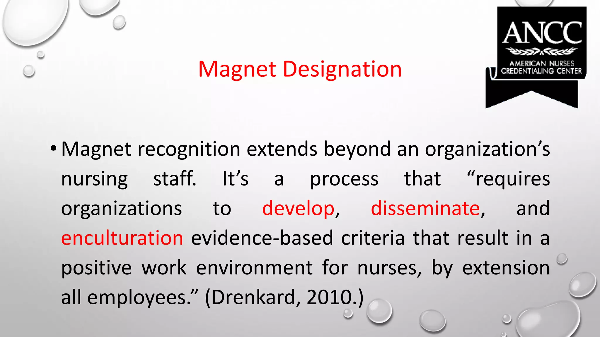 Magnet hospital dr wesam | PDF