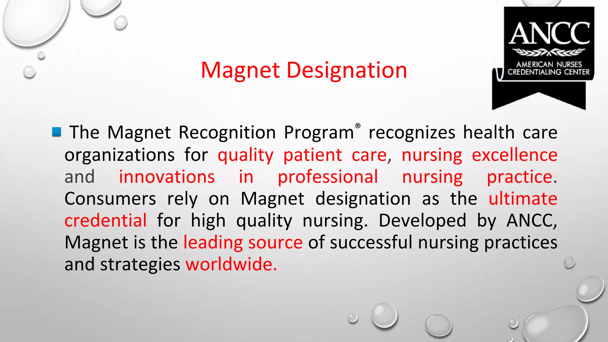 Magnet hospital dr wesam | PDF