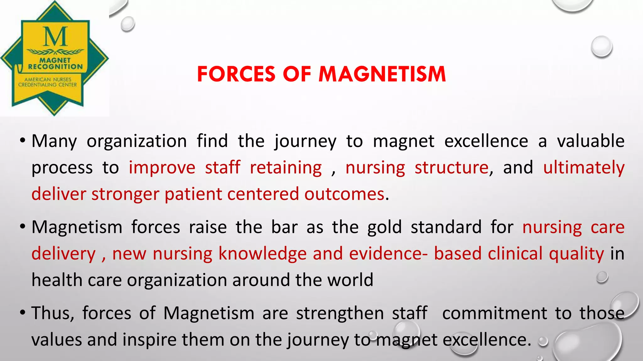 Magnet hospital dr wesam | PDF