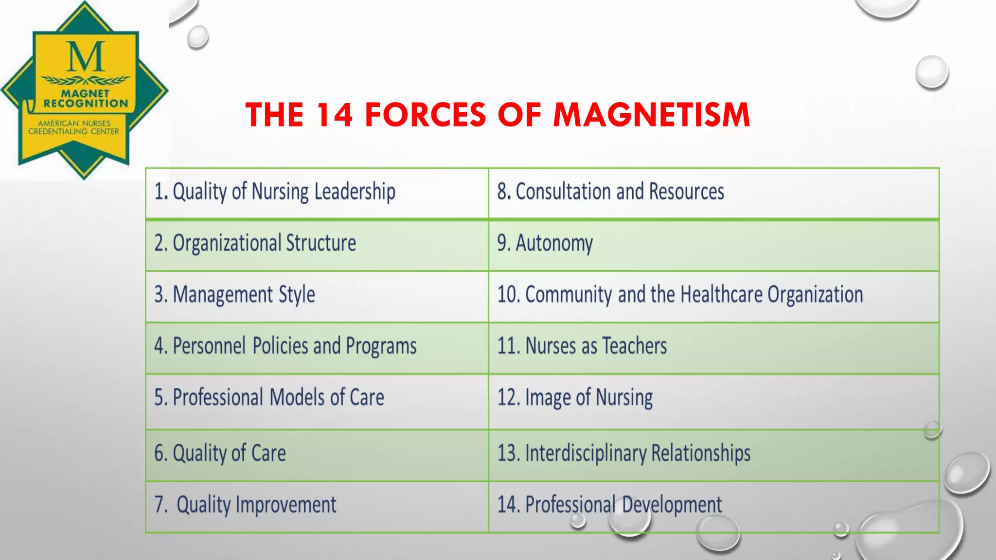 Magnet hospital dr wesam | PDF