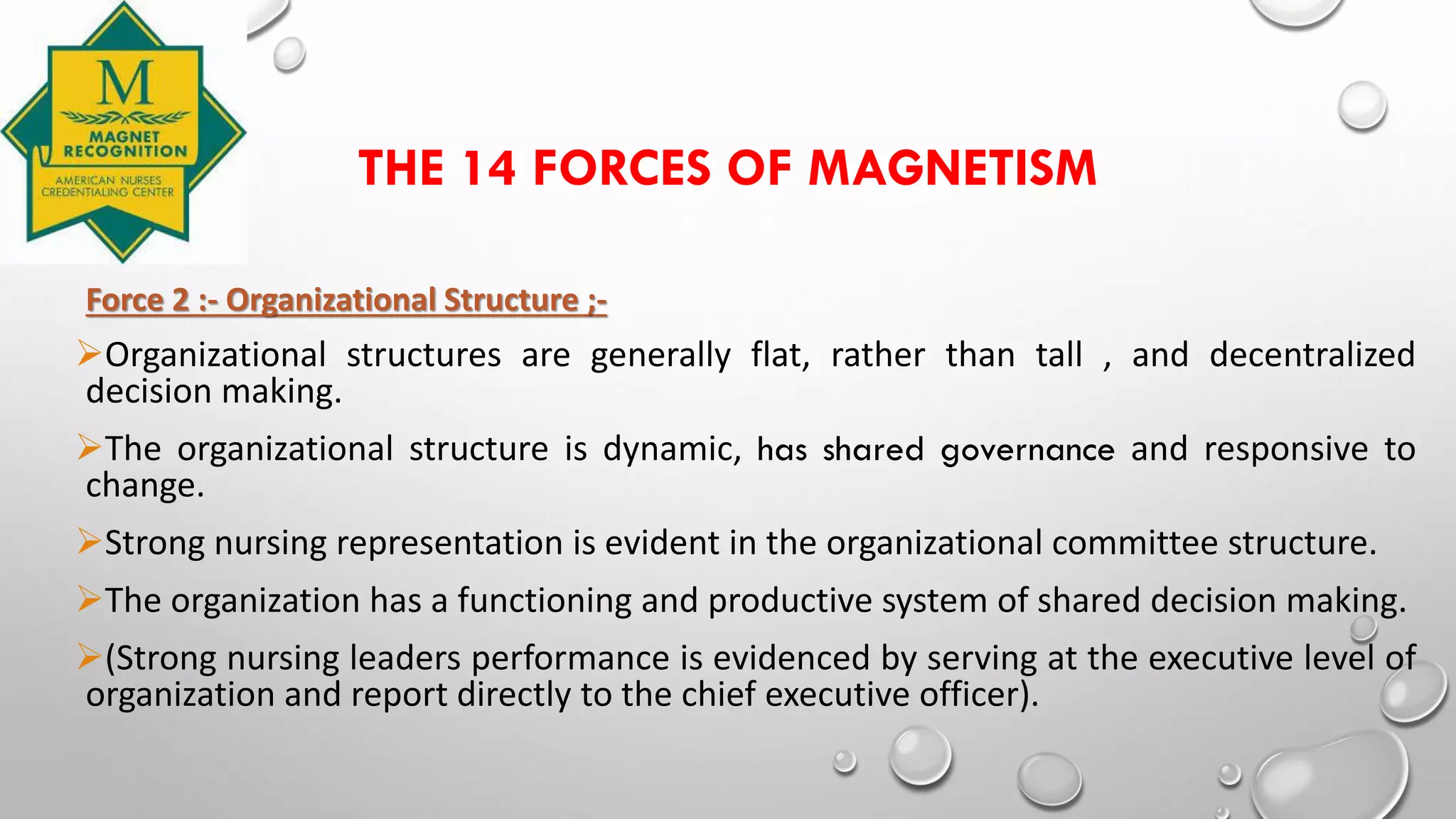 Magnet hospital dr wesam | PDF