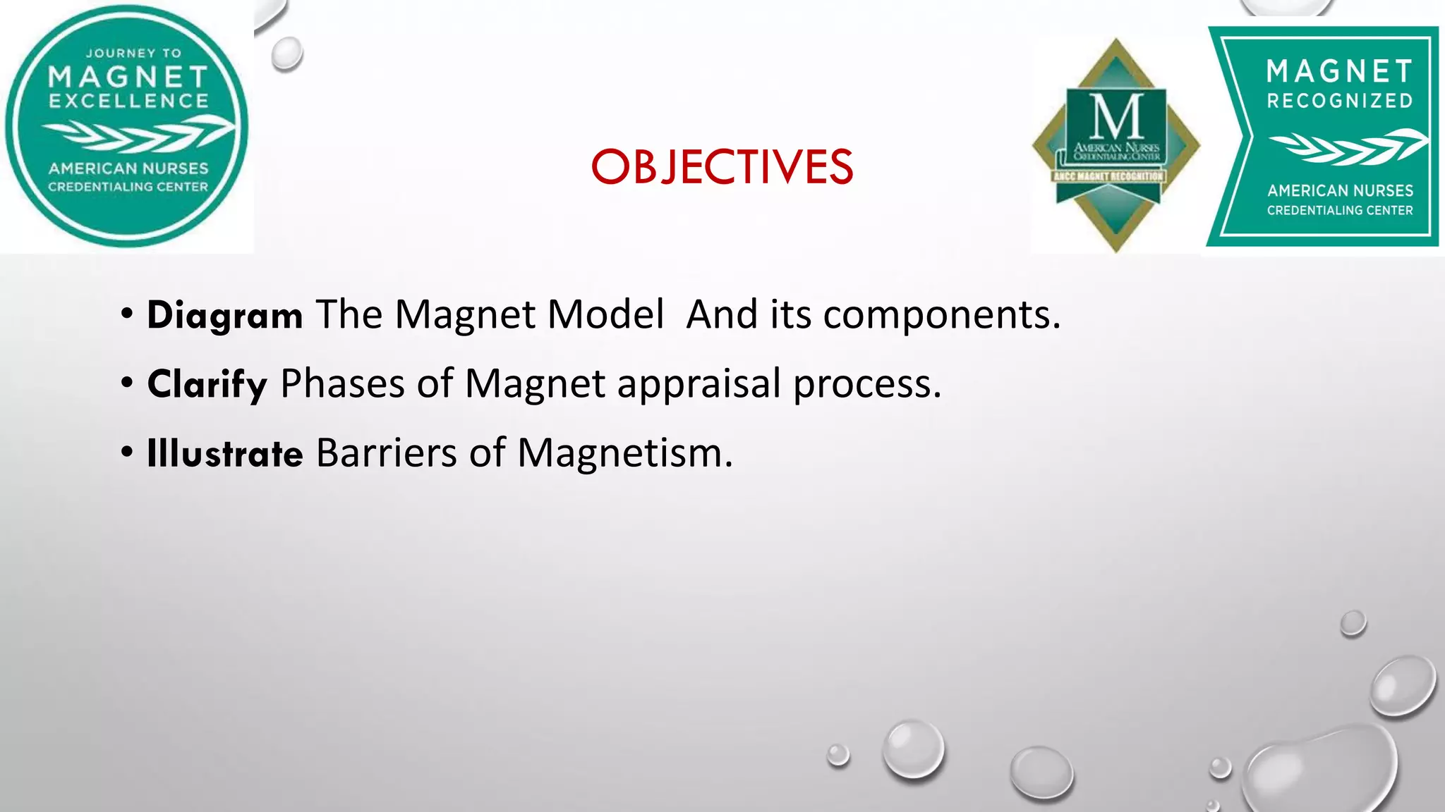 Magnet hospital dr wesam | PDF