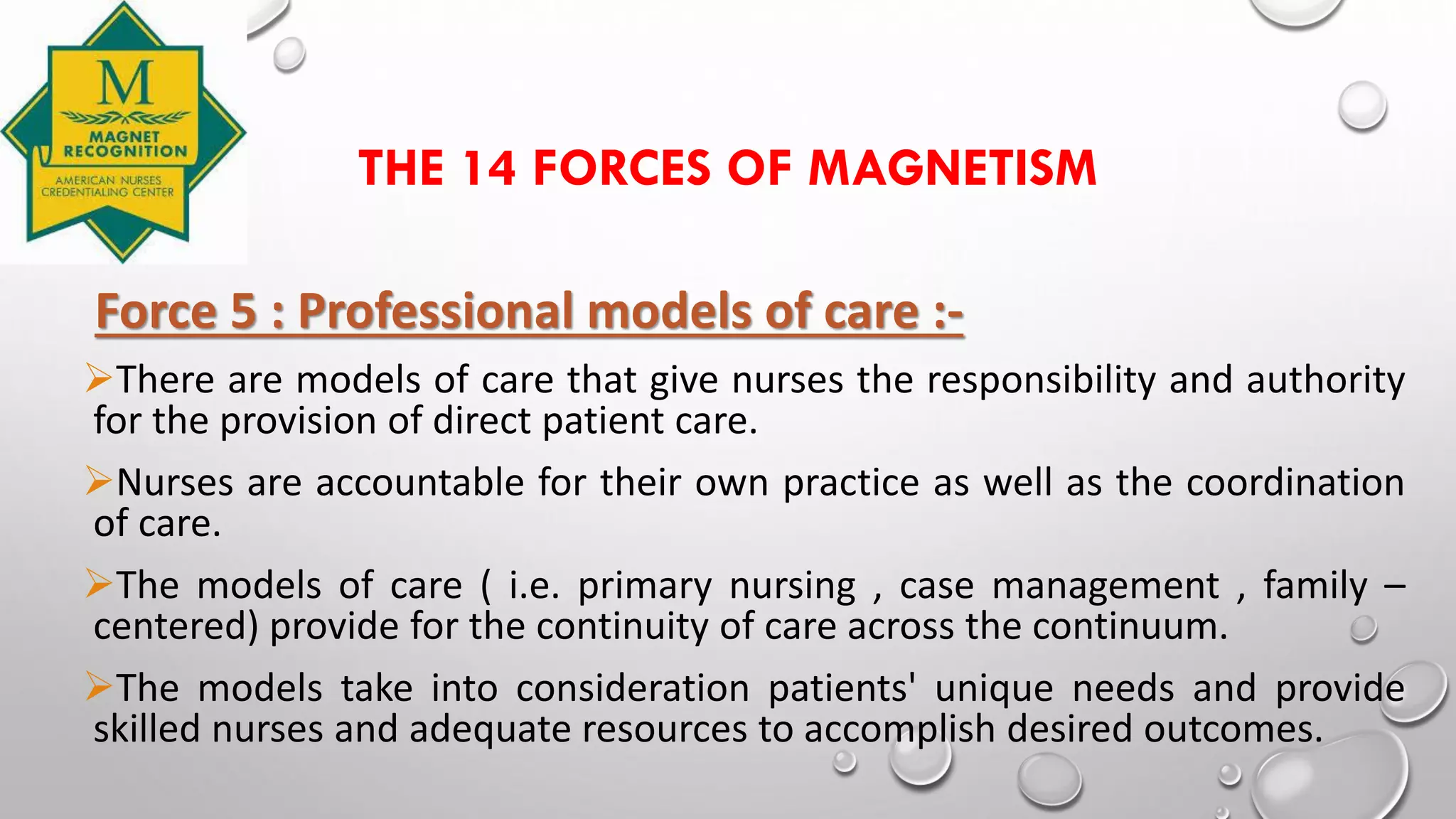 Magnet hospital dr wesam | PDF