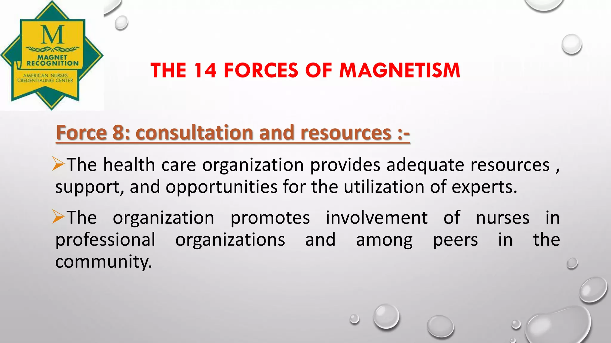 Magnet hospital dr wesam | PDF