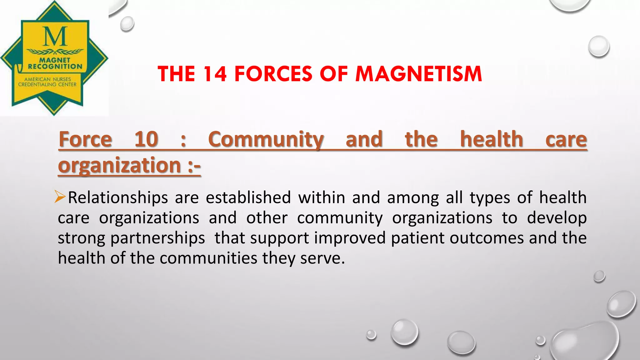 Magnet hospital dr wesam | PDF