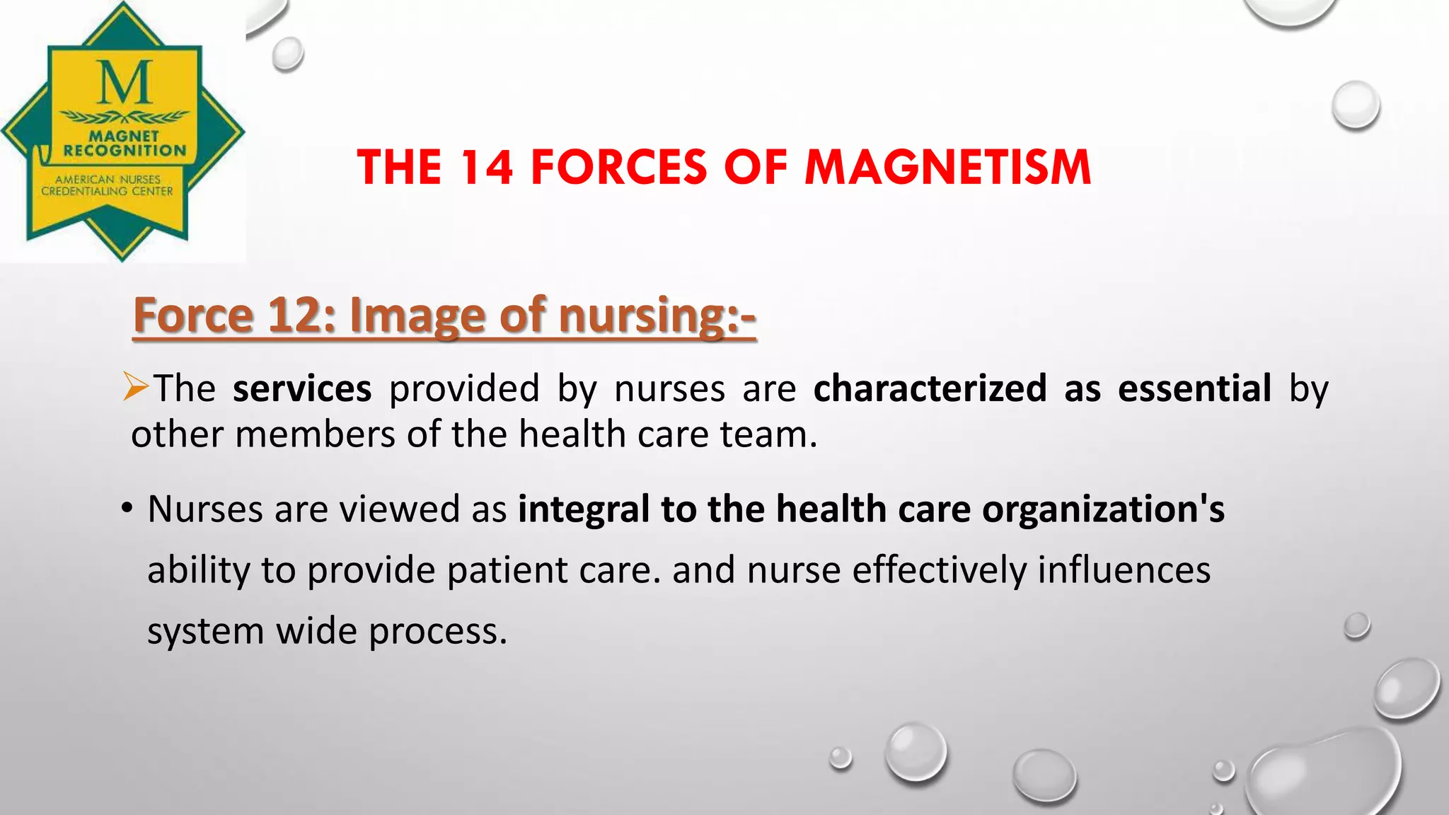 Magnet hospital dr wesam | PDF
