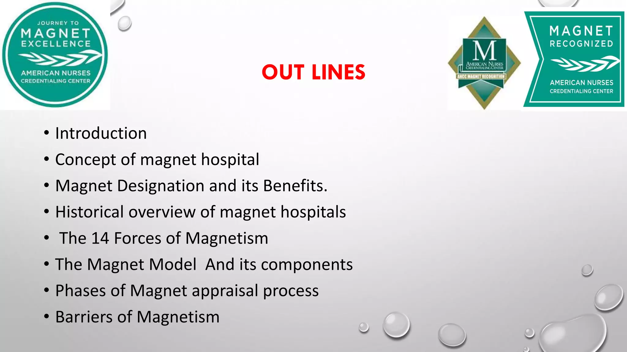 Magnet hospital dr wesam | PDF