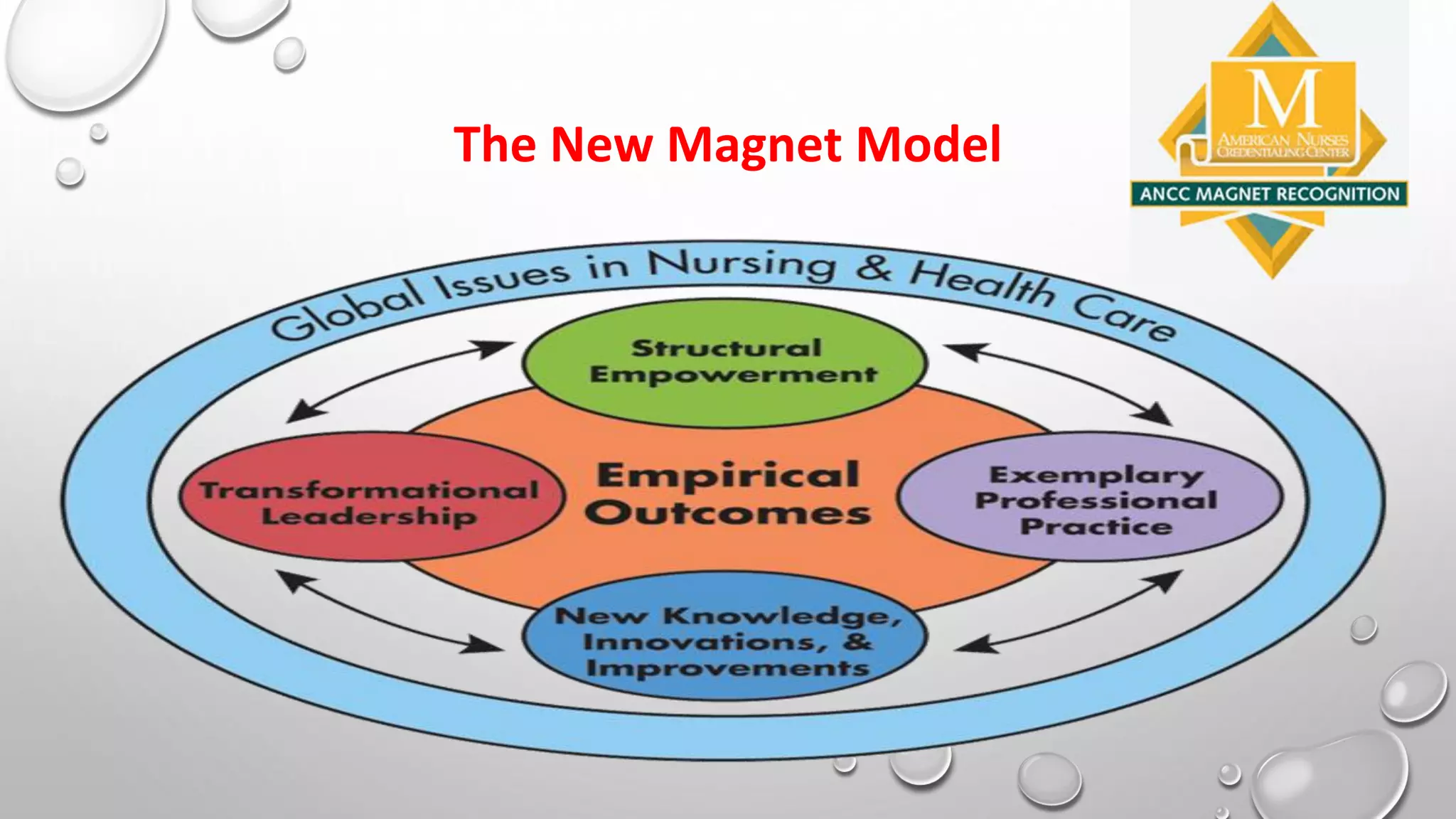 Magnet hospital dr wesam | PDF