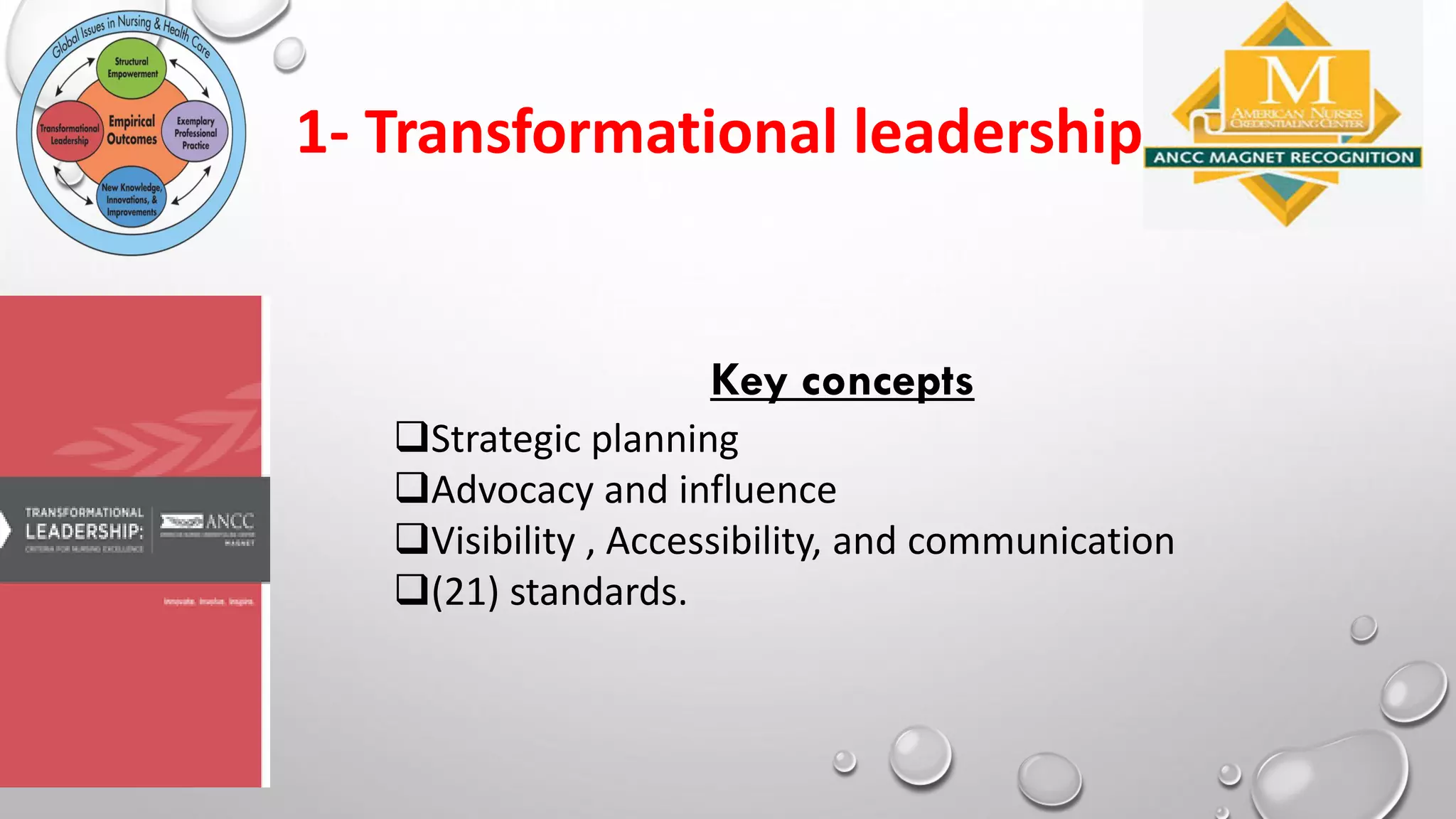 Magnet hospital dr wesam | PDF