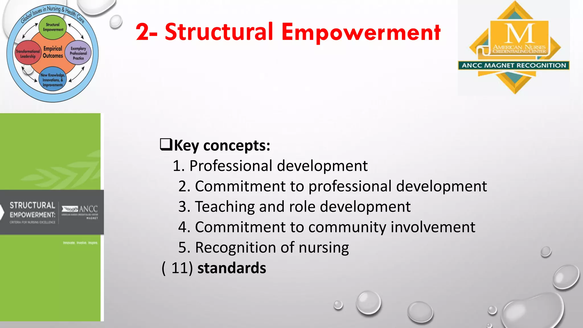 Magnet hospital dr wesam | PDF