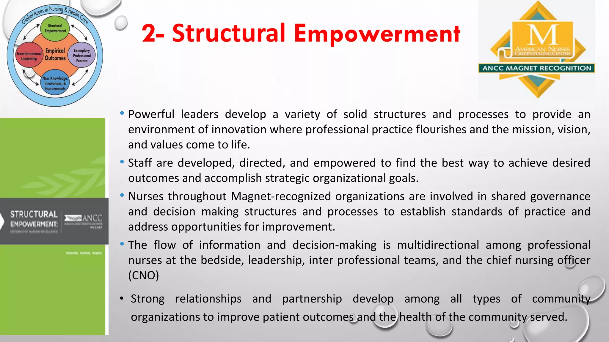 Magnet hospital dr wesam | PDF