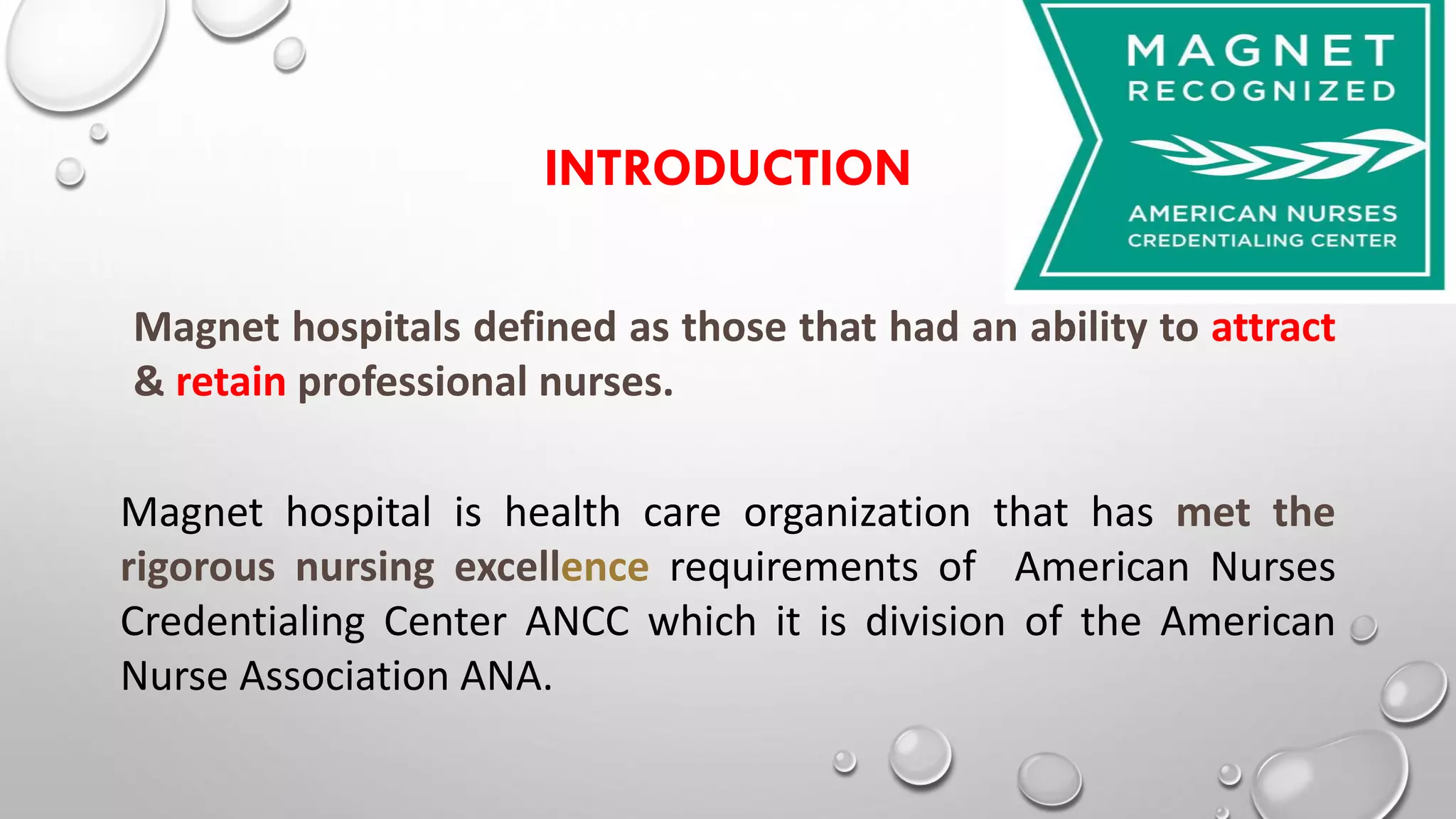 Magnet hospital dr wesam | PDF