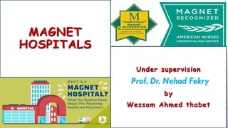 Magnet hospital dr wesam | PDF