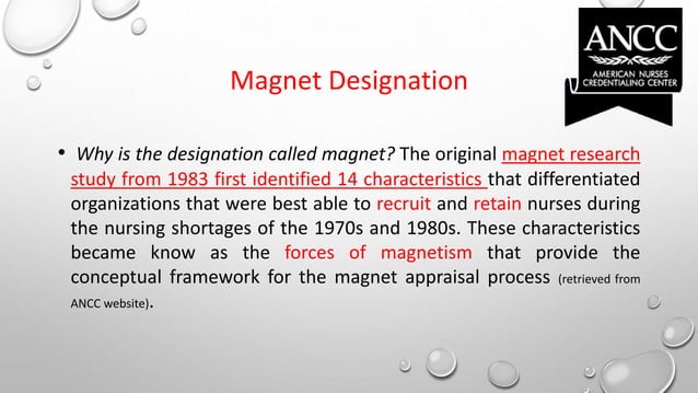Magnet hospital dr wesam | PDF