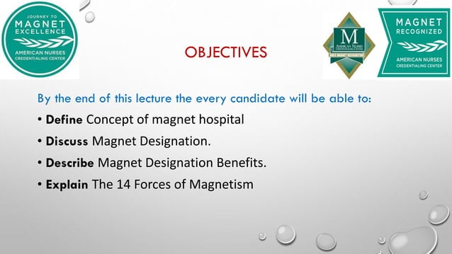 Magnet hospital dr wesam | PDF