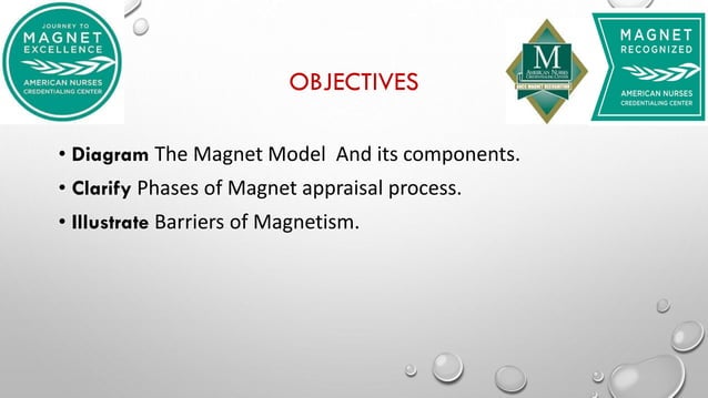 Magnet hospital dr wesam | PDF