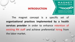 Magnet hospital dr wesam | PDF