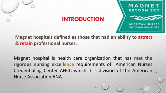 Magnet hospital dr wesam | PDF