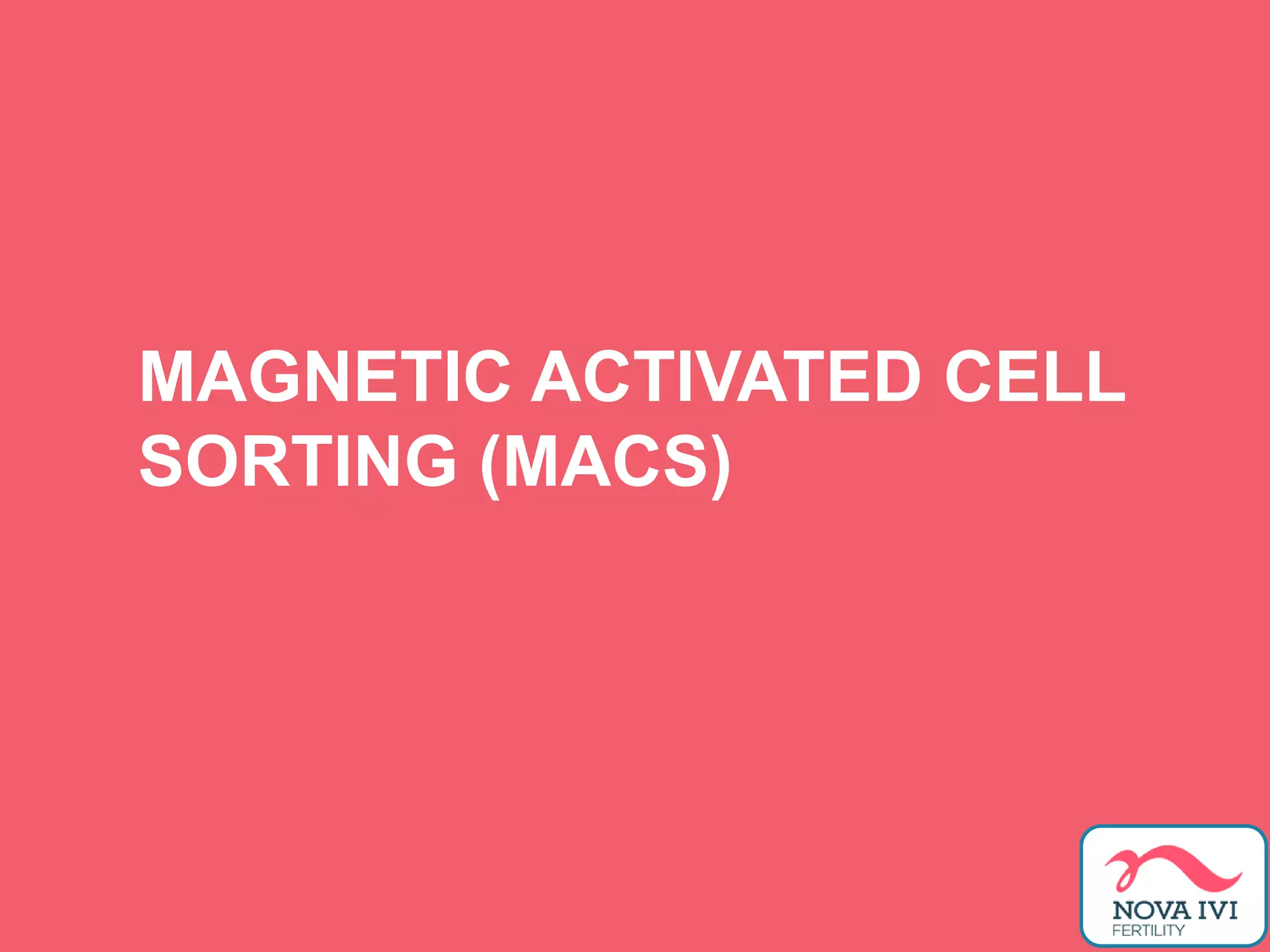 Magnetic Activated Cell Sorting (MACS) | PDF