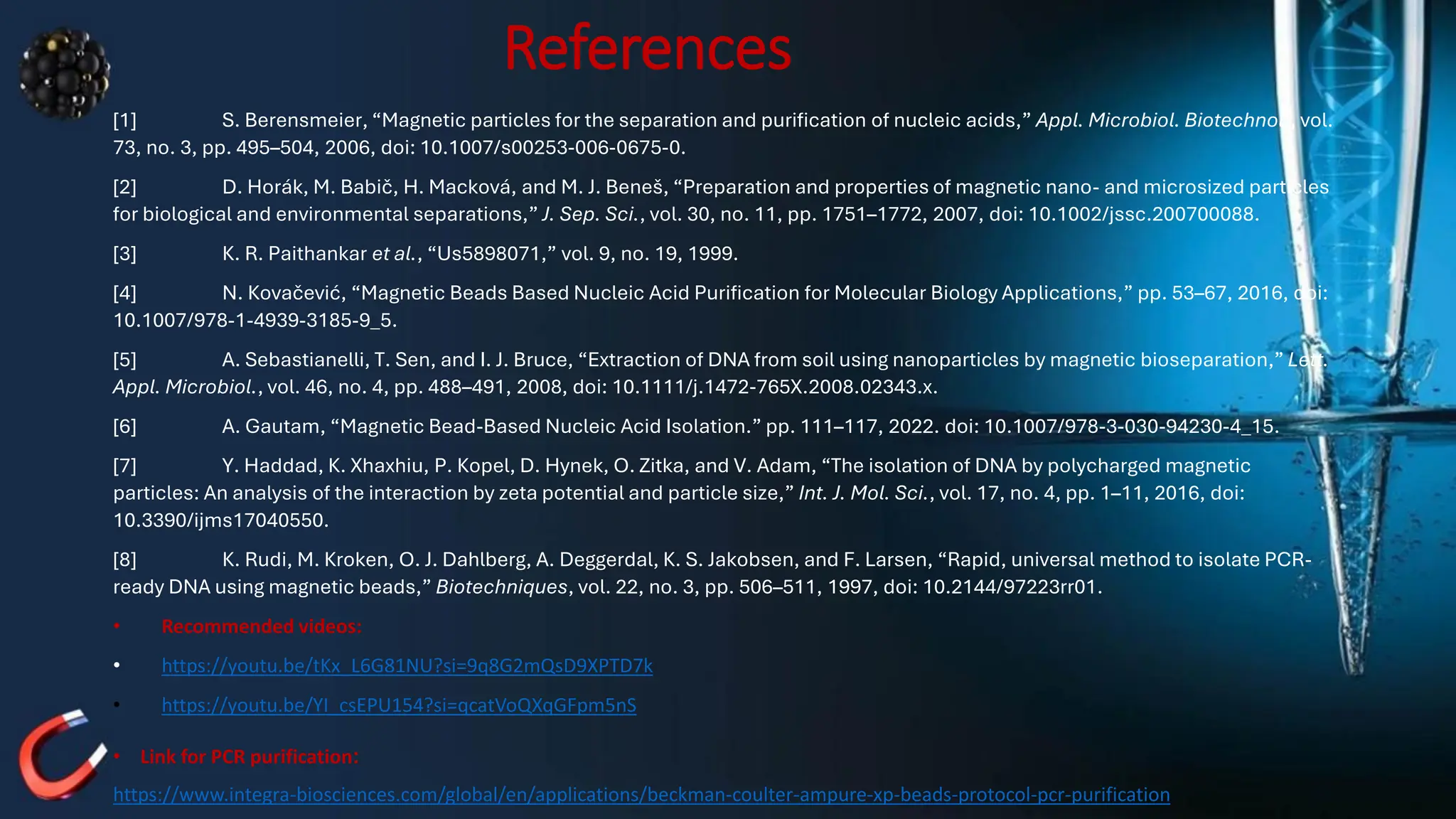 Magnetic Bead-Based Nucleic Acid Isolation.pdf