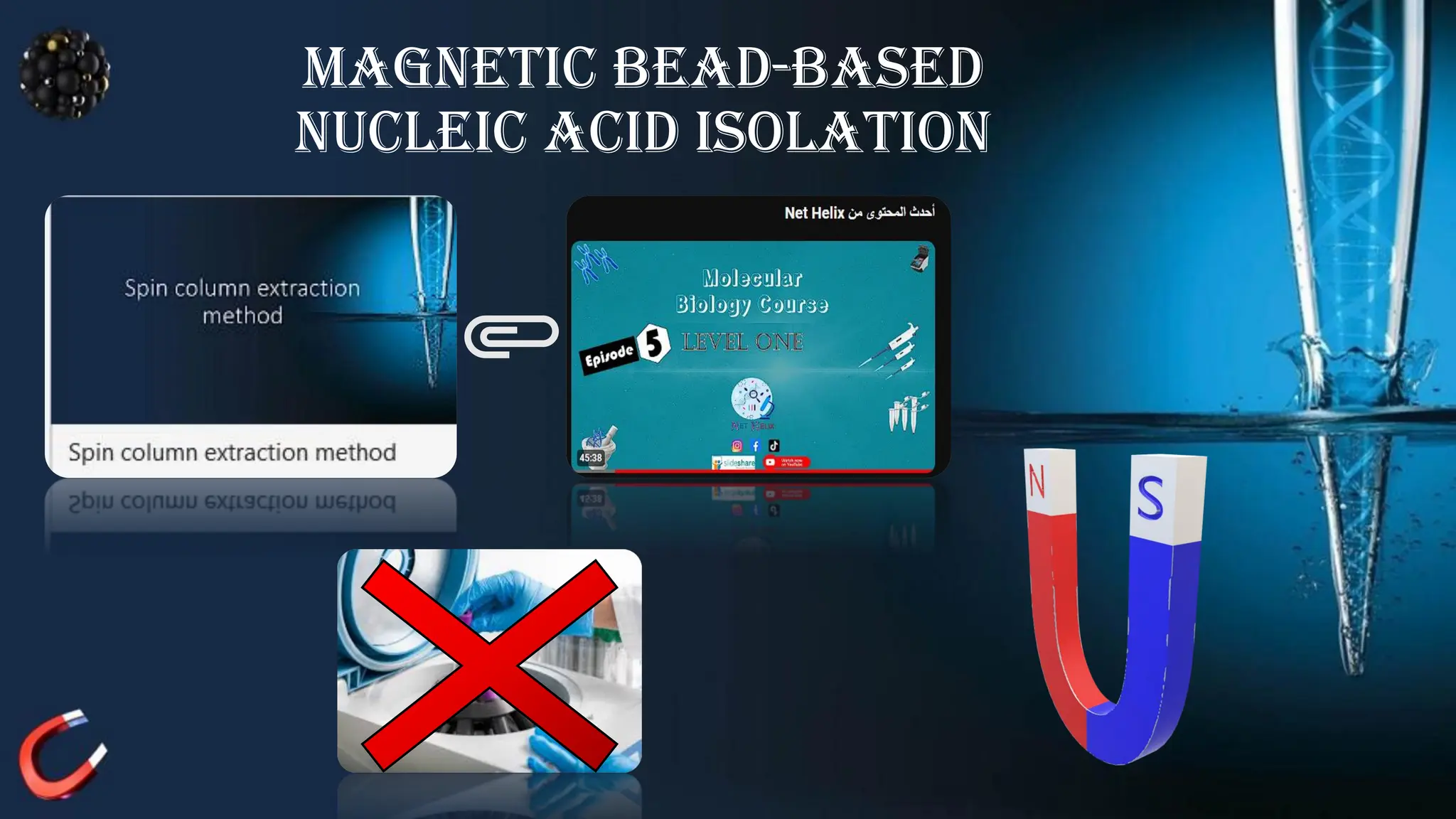 Magnetic Bead-Based Nucleic Acid Isolation.pdf