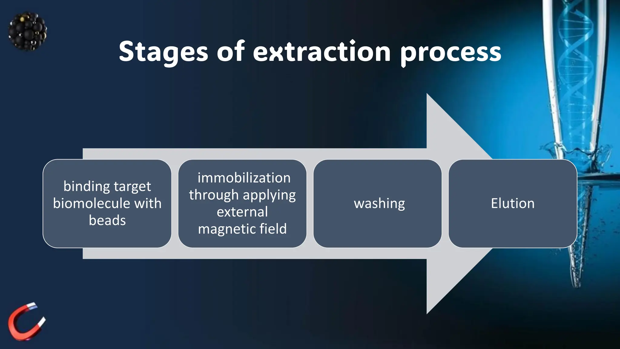 Magnetic Bead-Based Nucleic Acid Isolation.pdf
