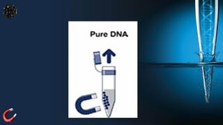 Magnetic Bead-Based Nucleic Acid Isolation.pdf