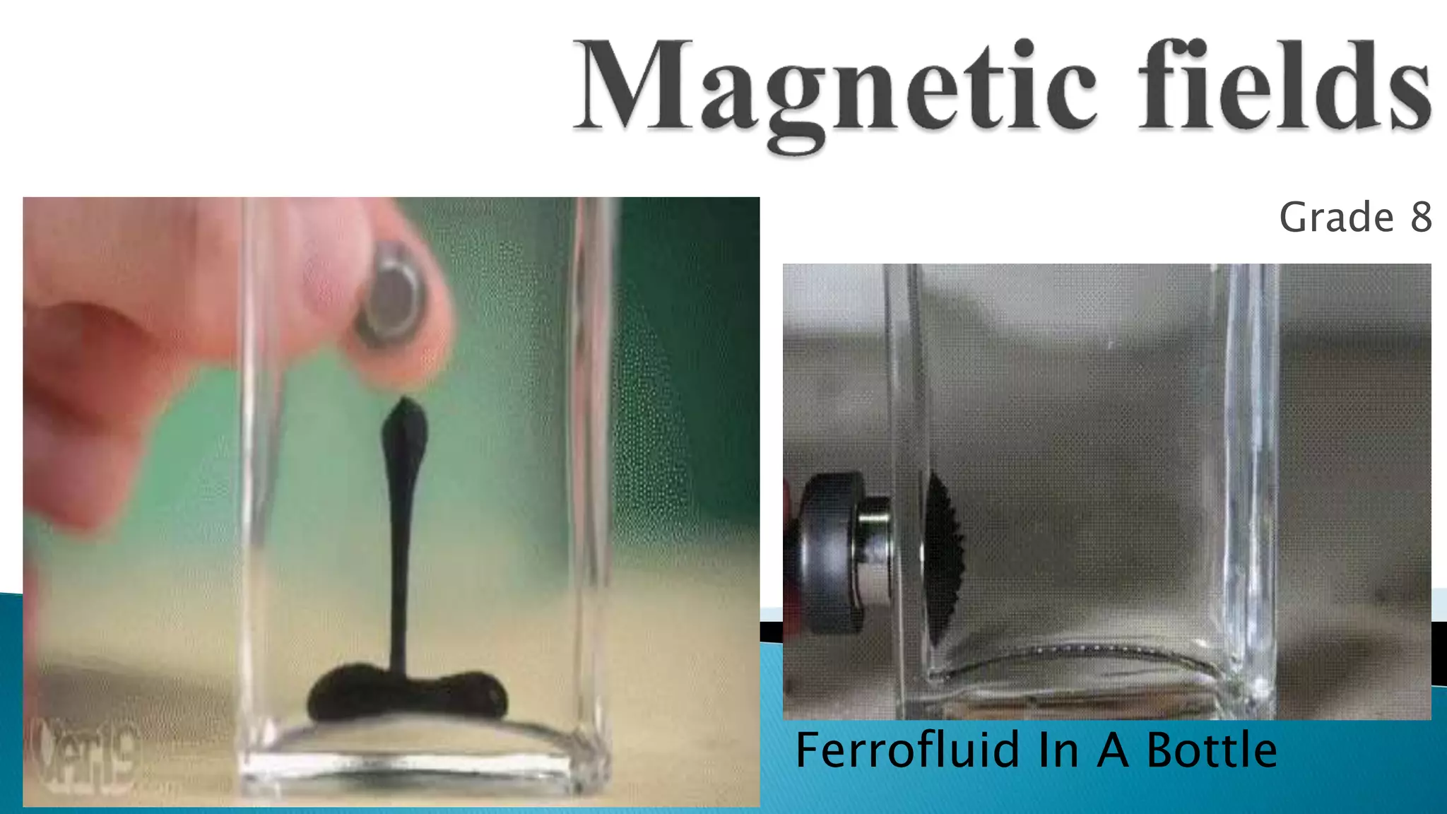 Magnetic fields.pptx