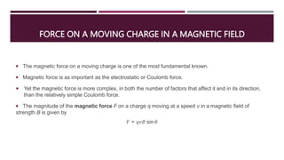 Magnetic Fields (Physics Presentation) F.pptx