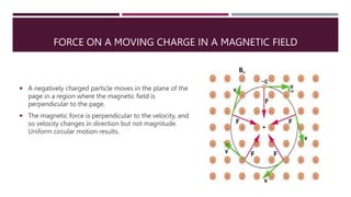 Magnetic Fields (Physics Presentation) F.pptx