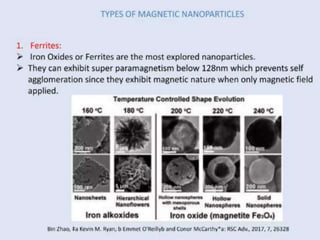 Magnetic Nanoparticle for pharmaceutical drugs | PPTX