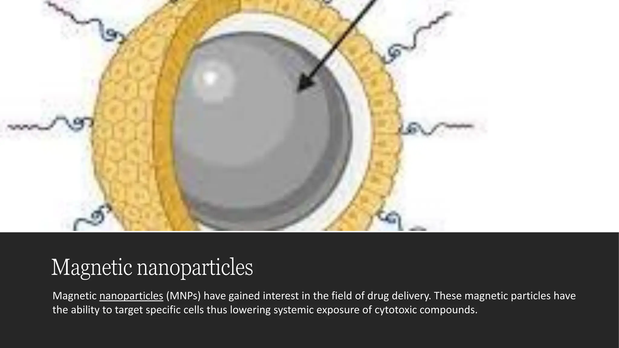 Magnetic nanoparticles introduction, synthesis and role in health care.pdf
