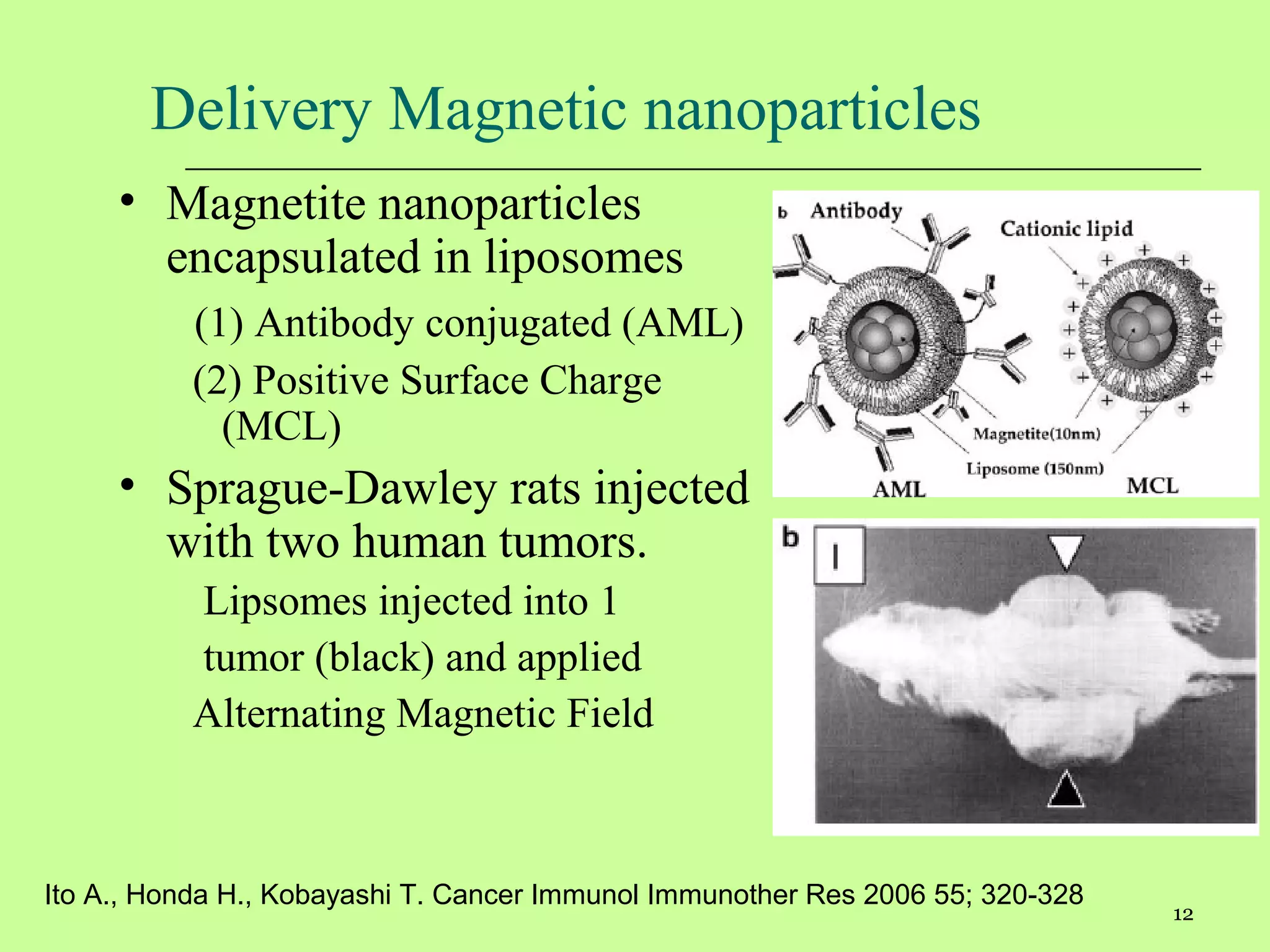 Magnetic nanoparticles applications and bioavailability for cancer ...