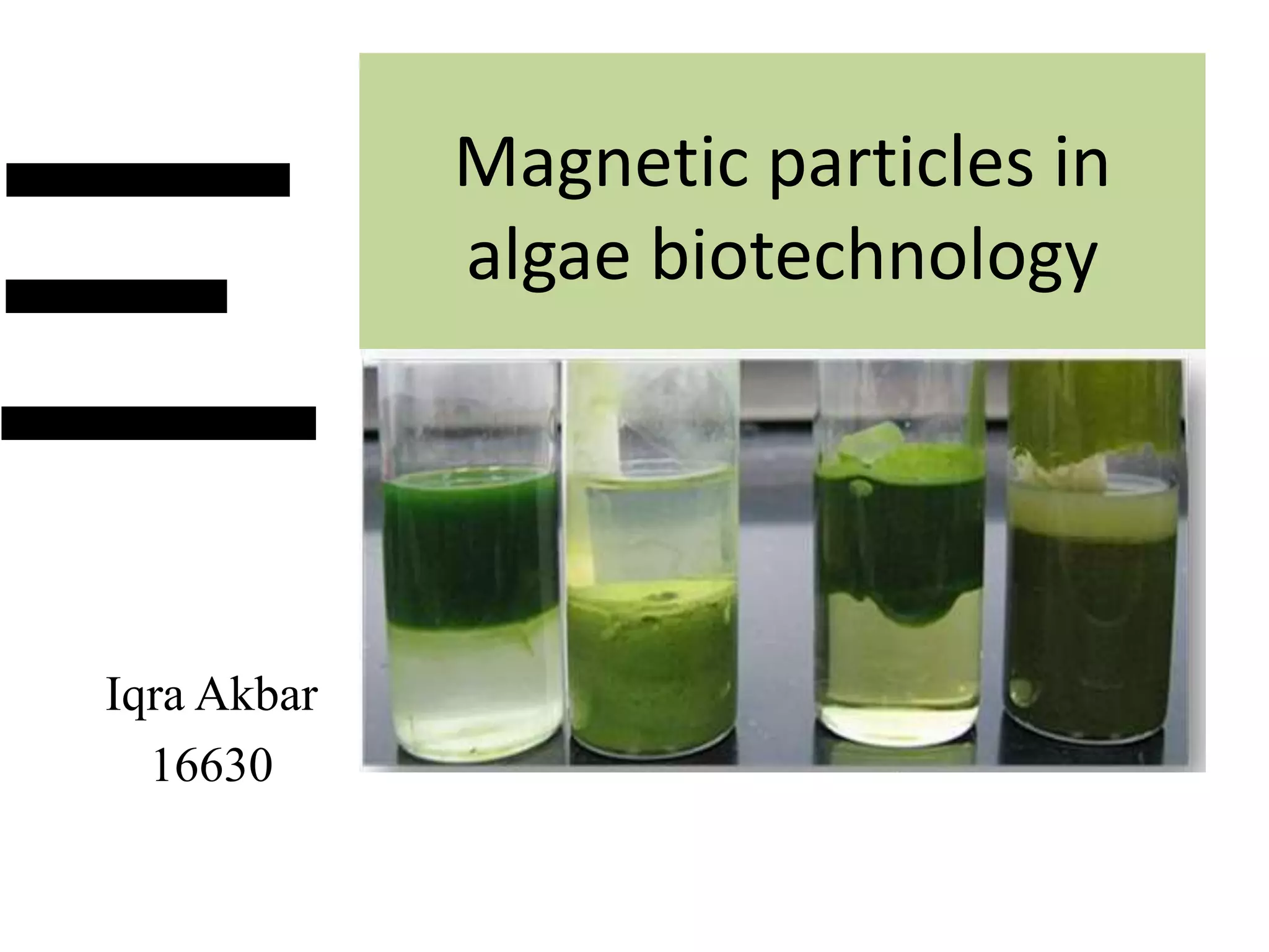 Magnetic particles in algae biotechnology | PPTX | Biological Sciences | Science