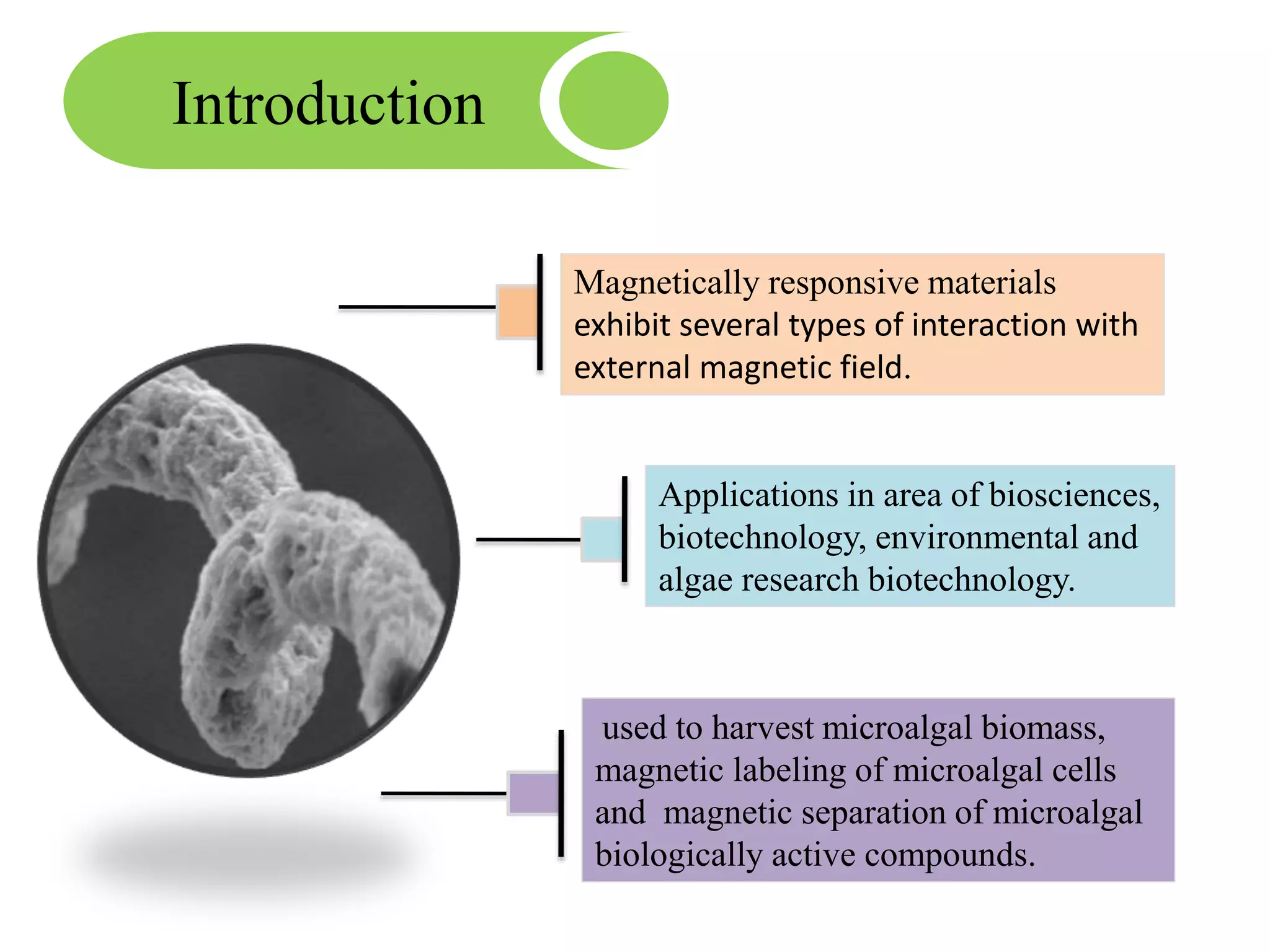 Magnetic particles in algae biotechnology | PPTX | Biological Sciences | Science