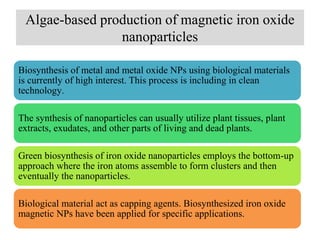 Magnetic particles in algae biotechnology | PPT