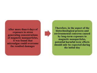 Magnetic particles in algae biotechnology | PPT