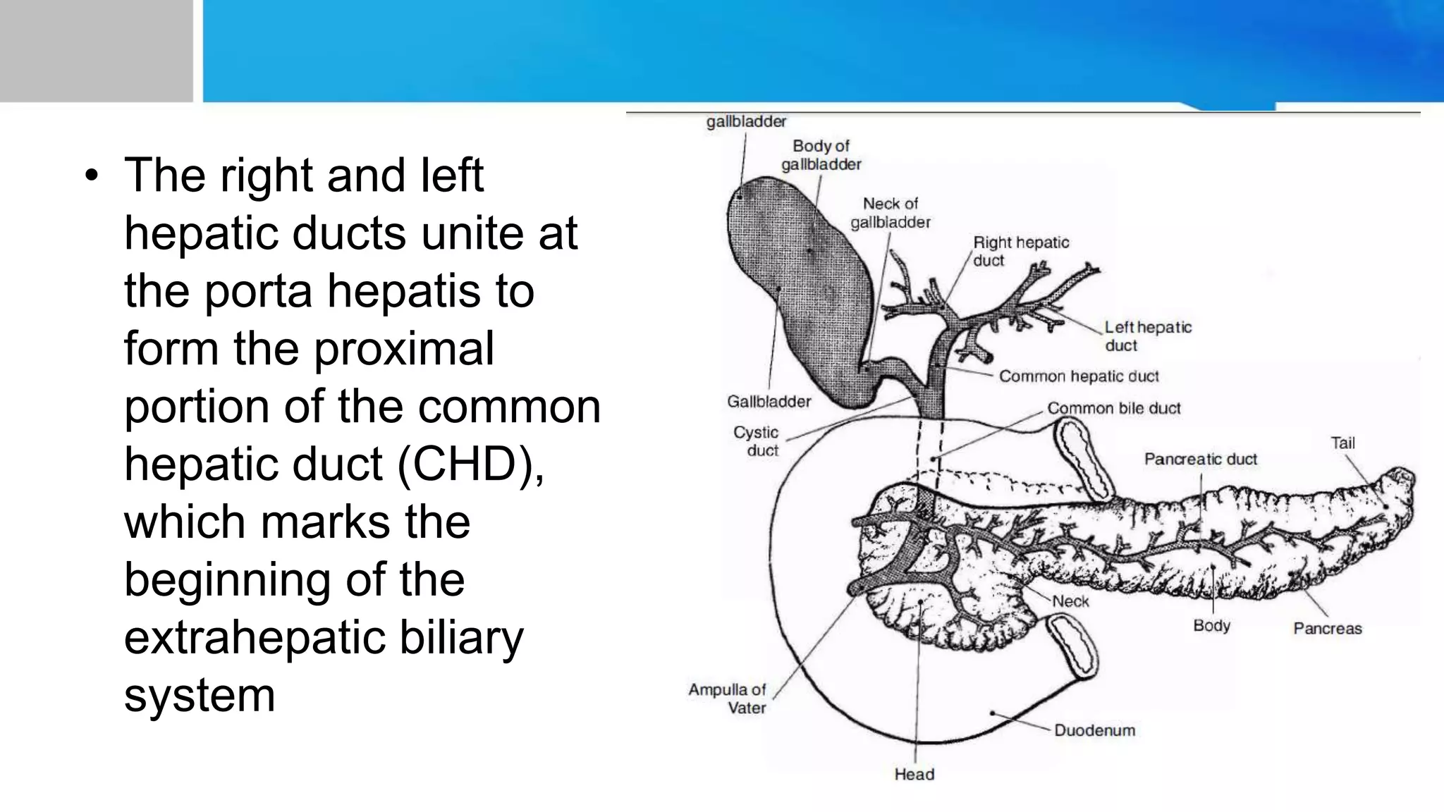 Magnetic resonance cholangiopancreatography ppt | PPTX