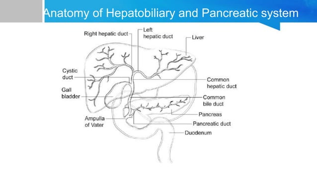 Magnetic resonance cholangiopancreatography ppt | PPTX