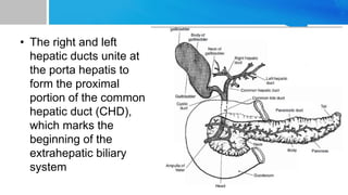 Magnetic resonance cholangiopancreatography ppt | PPTX