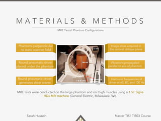 Magnetic Resonance Elastography | PDF