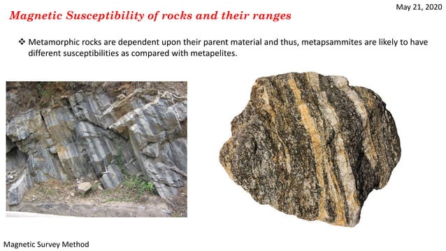 Magnetic Survey | PDF | Physics | Science