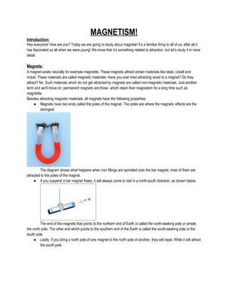 Magnetism | PDF