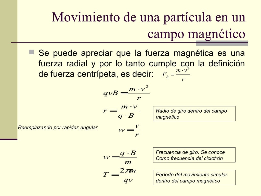 Magnetismo Fuerza Magnetica